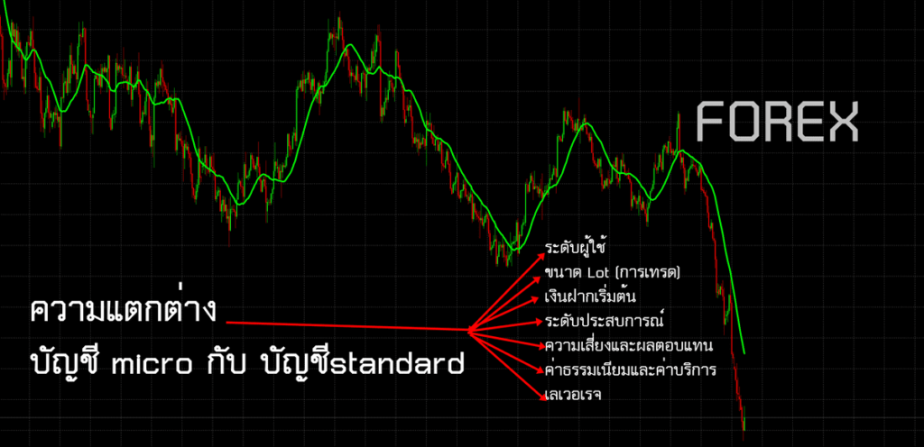 บัญชี micro กับ standard ต่างกันอย่างไร - Forex Broker King